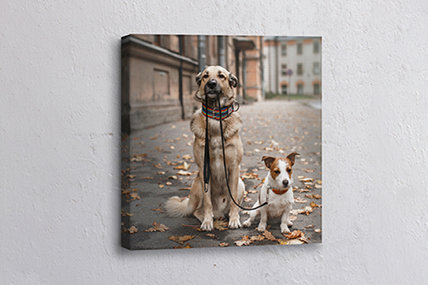 Square Canvas Prints Fast Delivery Solopress UK